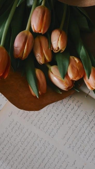 Download Shrek Script PDF | Free Shrek Movie Script