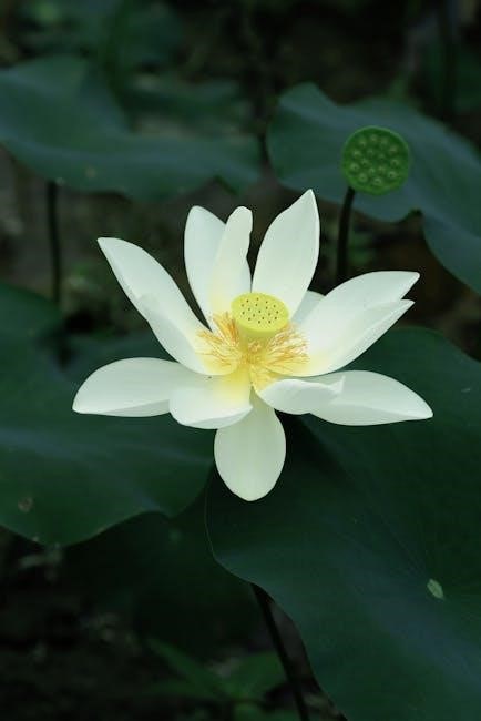 Pond Armor Instructions | DIY Installation Guide